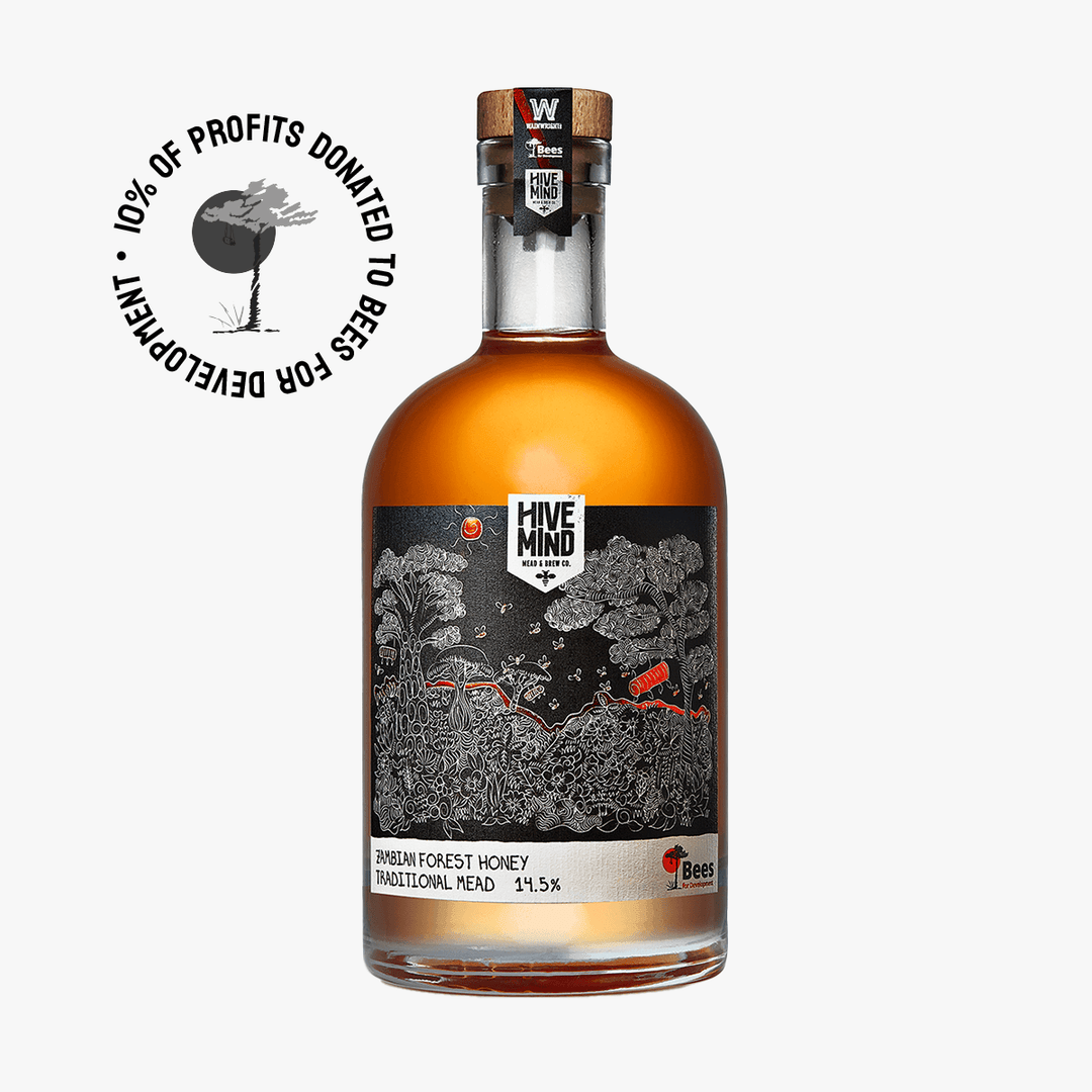 Mead 101 | Everything You Need to Know About Mead – Hive Mind Mead